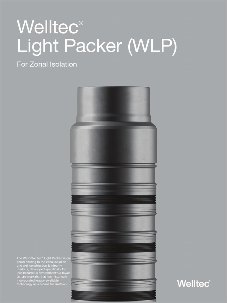 Datasheet WLP For Zonal Isolation | PDF