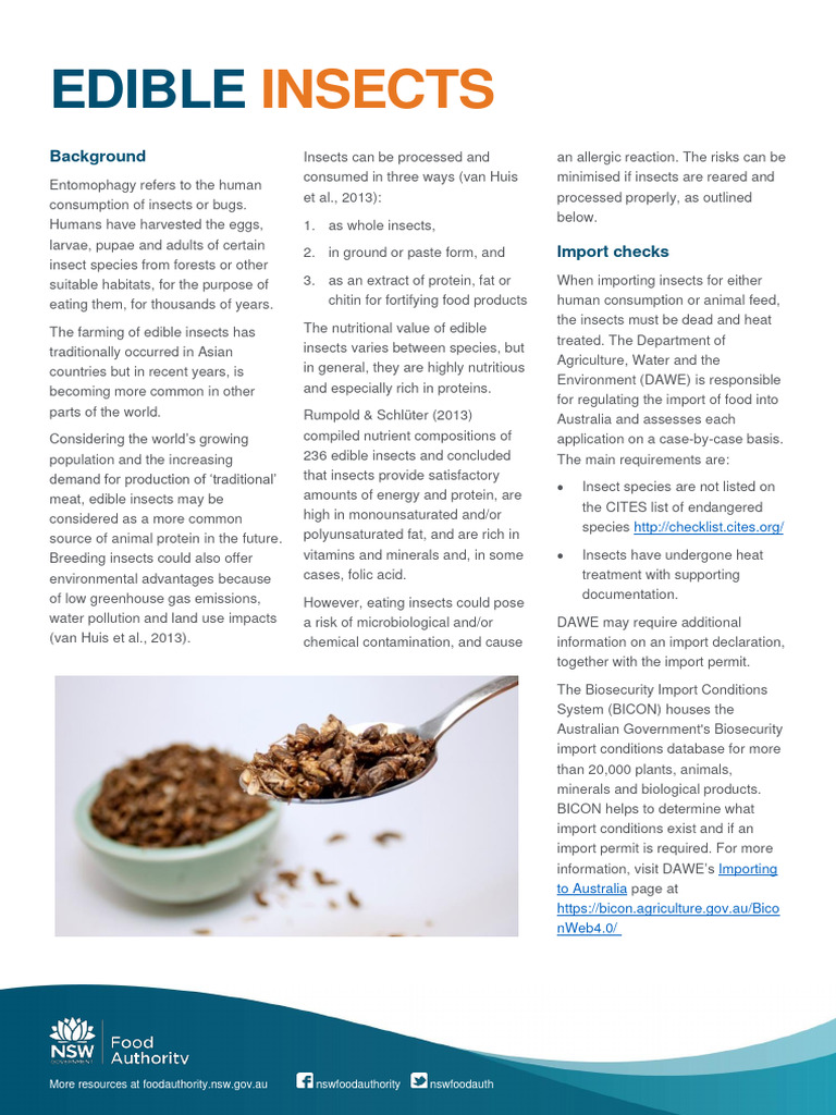 Edible Insects | PDF