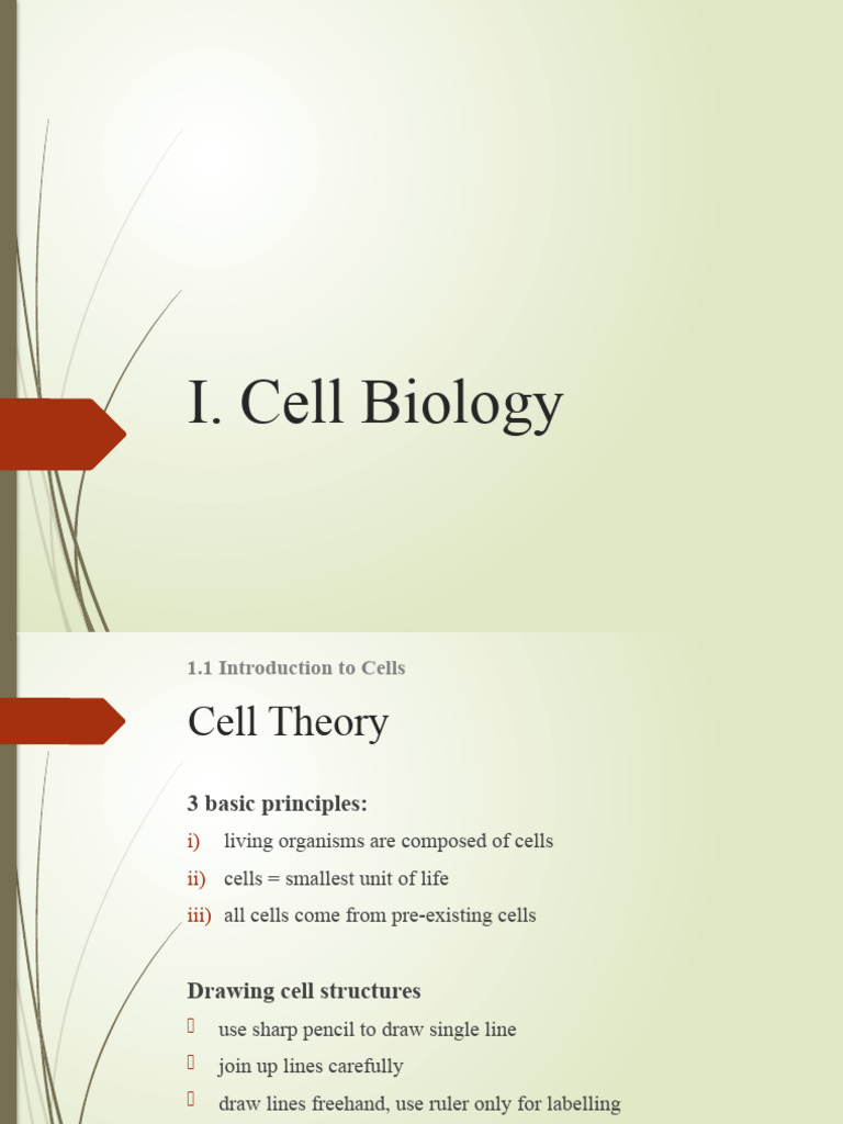 Cell Biology | PDF