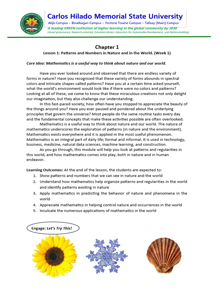 Teacher Im Chapter 1 Patterns in Nature | PDF