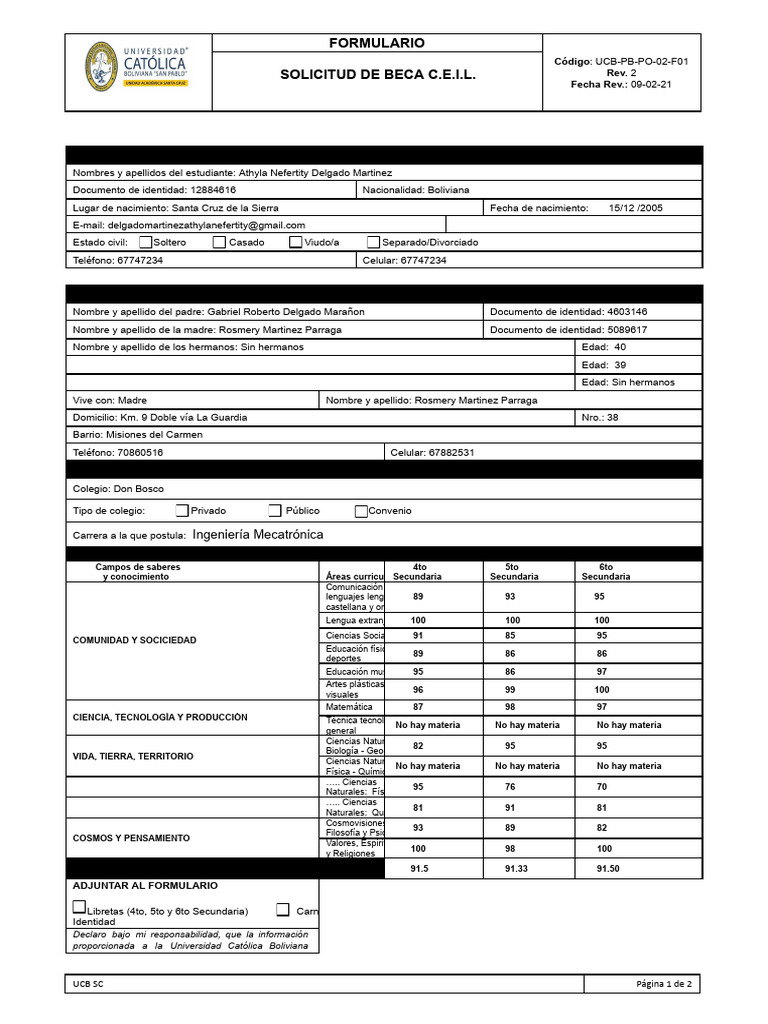 Formulario de Postulacion de Beca CEIL | PDF