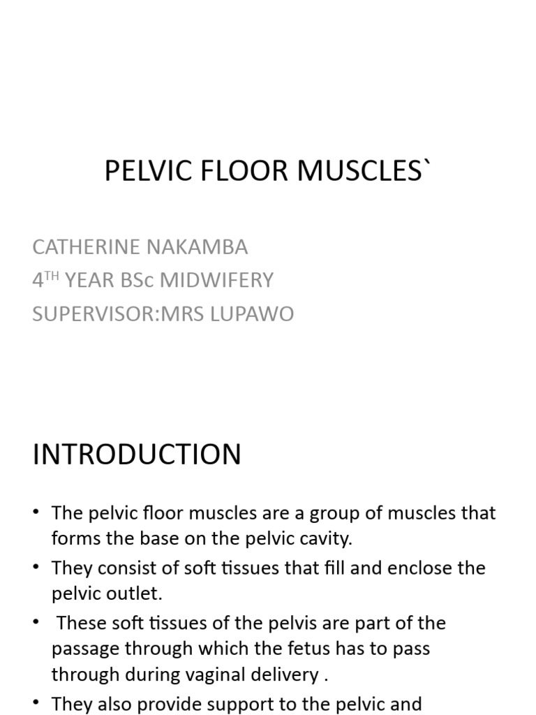 Pelvic Floor Muscles Power Point | PDF