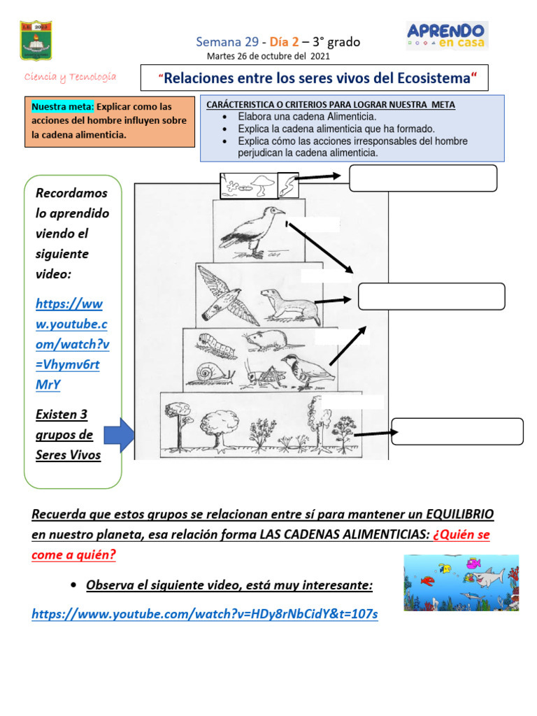 26-10 Ficha Ciencia - Relaciones Entre Seres Vivos Del Ecosistema | PDF