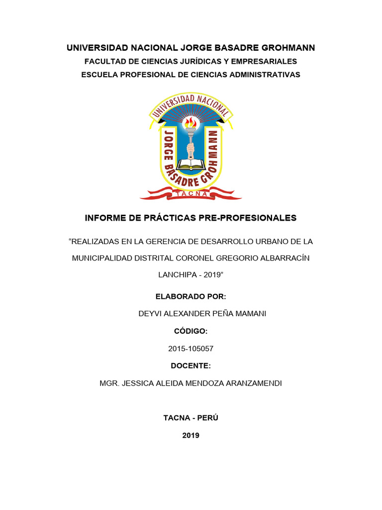 Informe Final de Practicas Pre Profesionales Deyvi | PDF