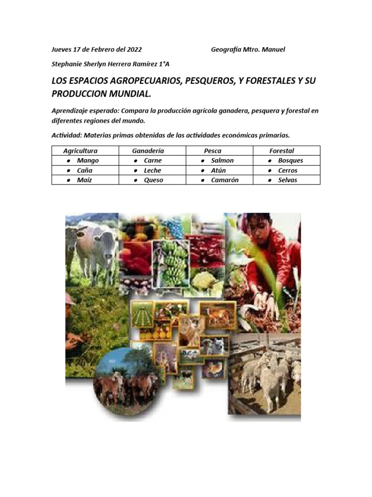 LOS ESPACIOS AGROPECUARIOS, PESQUEROS, Y FORESTALES Y SU PRODUCCION ...