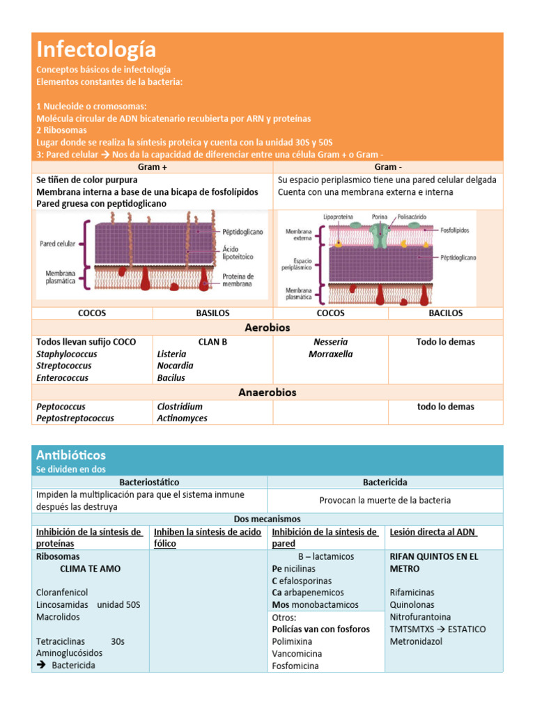Infectologia Definitivo | PDF