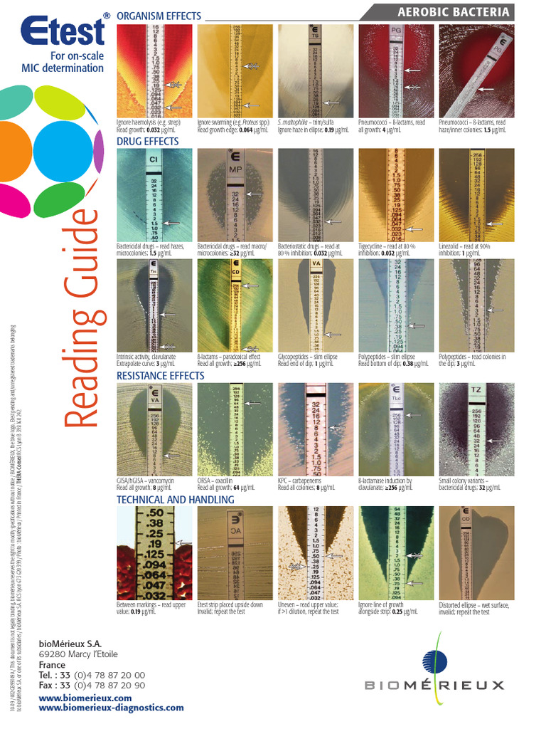 E-Test Reading Guide | PDF