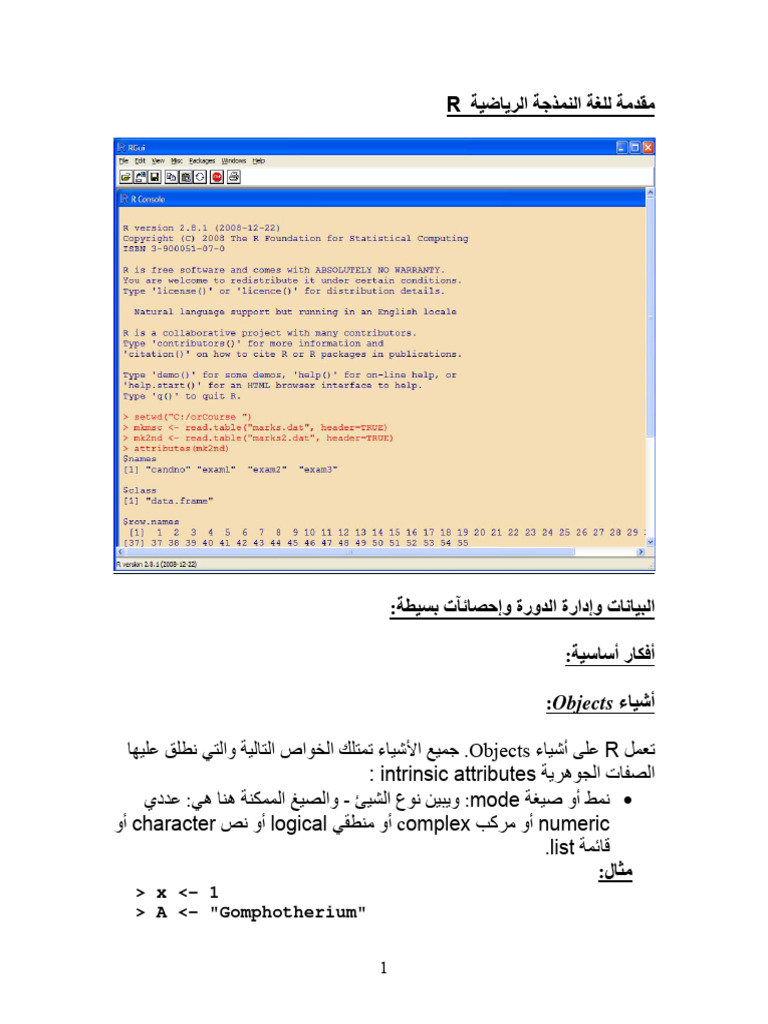 Introduction to R Arabic | PDF