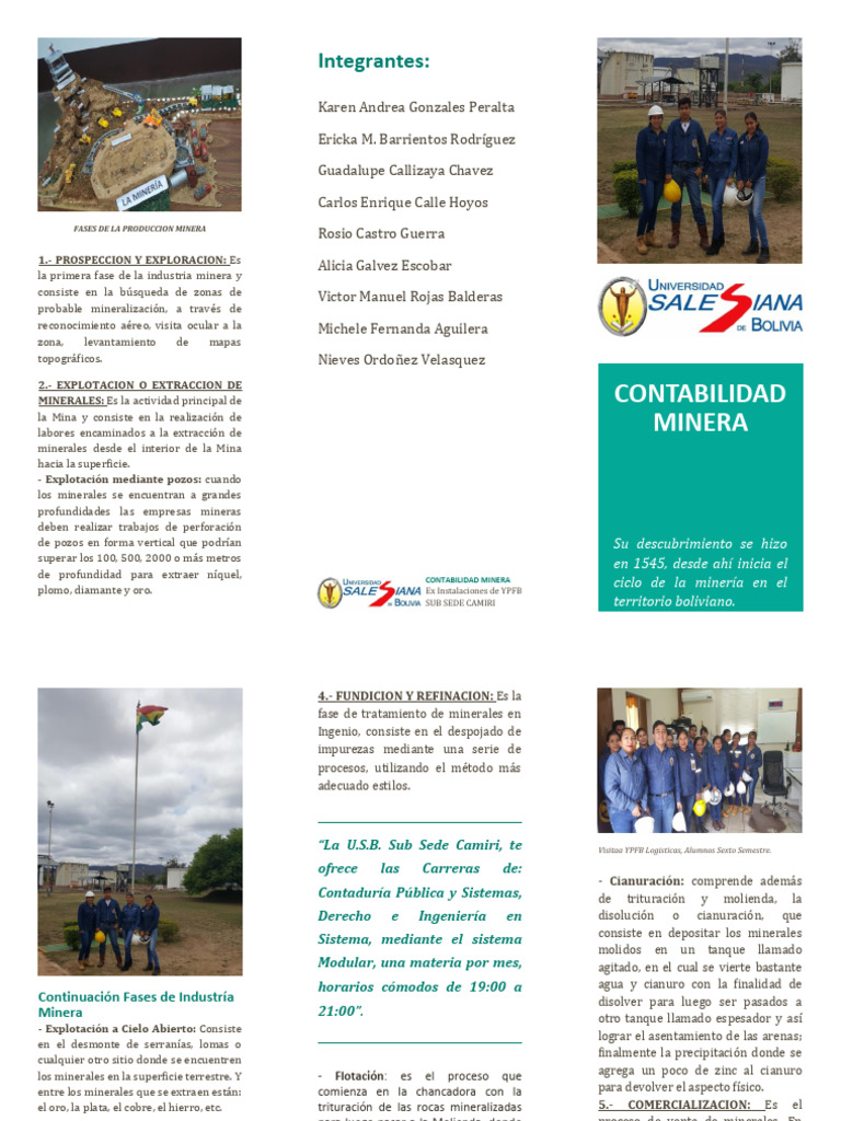 Triptico Minera | PDF | Minería | Materiales naturales