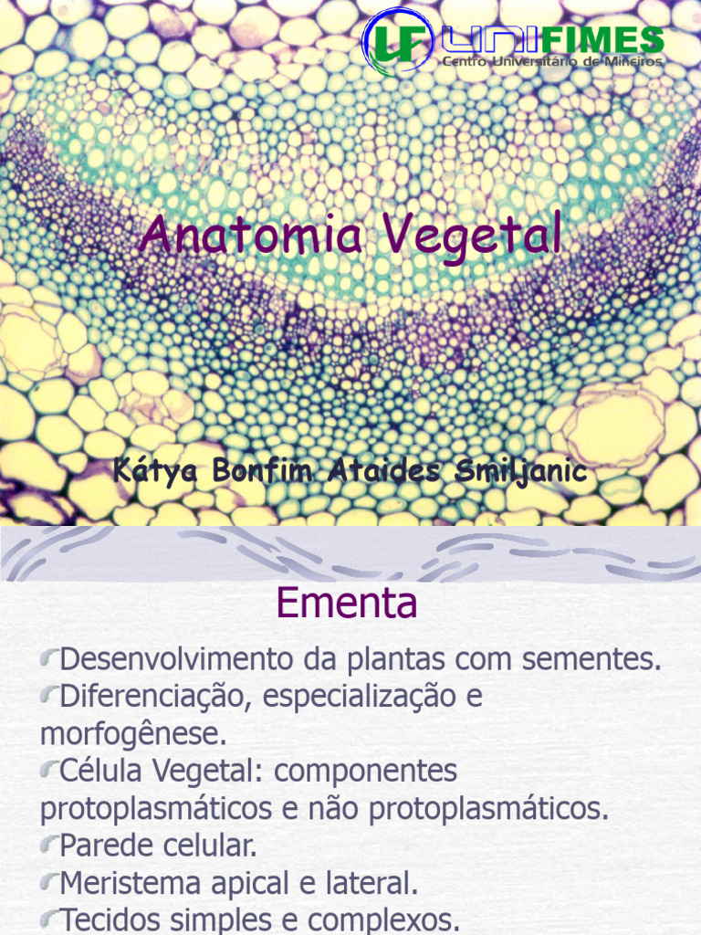 Aula 1 - Introdução - Anatomia Vegetal | PDF
