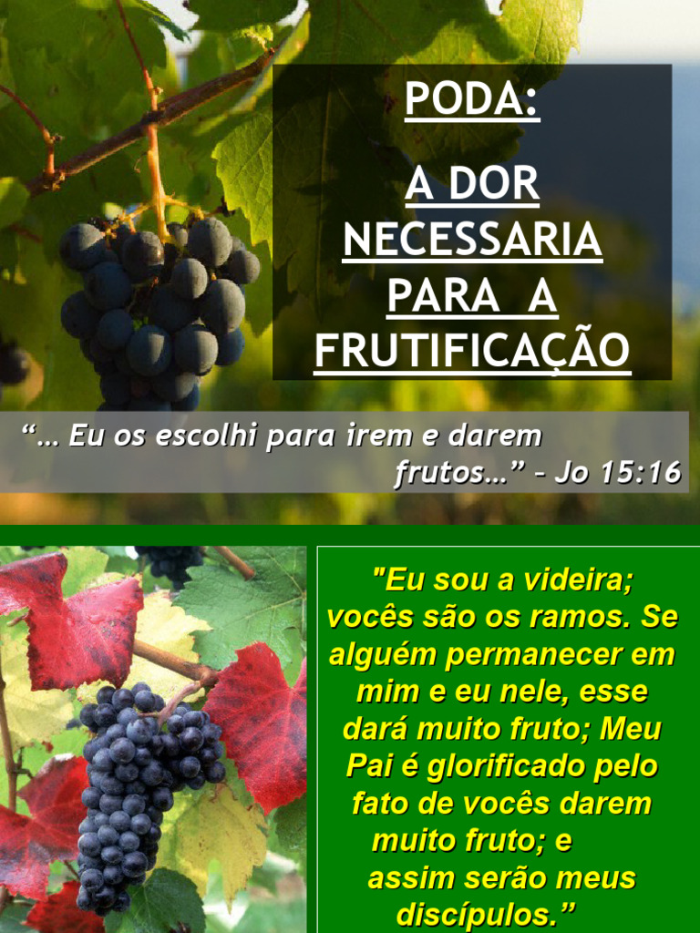 1º-2º-SEGREDO-DA-VINHA-PODA-A-DOR-E-DISCIPLINA-NECESSARIAS-PARA-A ...