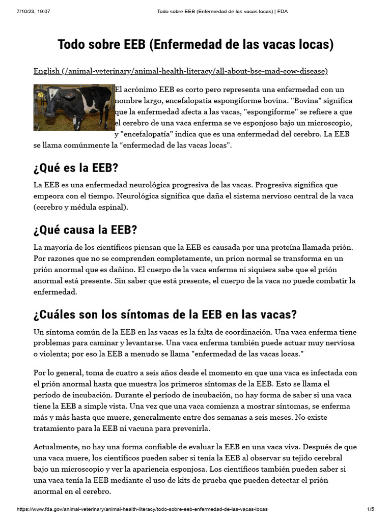 Todo Sobre EEB (Enfermedad de Las Vacas Locas) - FDA | PDF