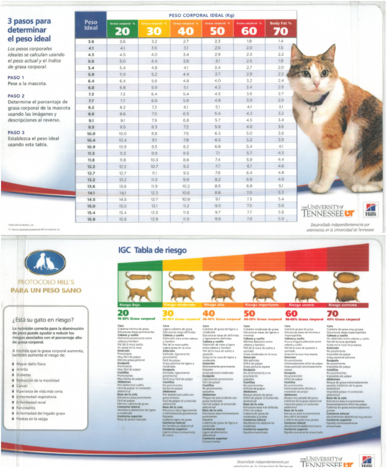 Tabla Peso Corporal Gatos | PDF