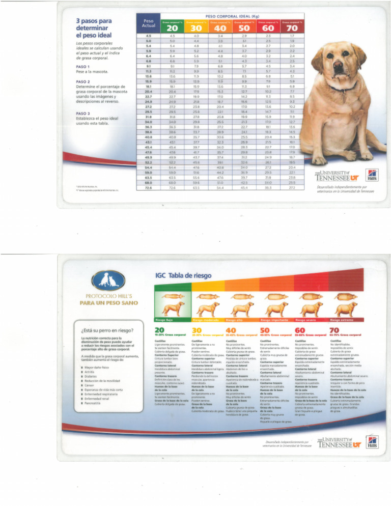 Tabla Peso Corporal Perros | PDF