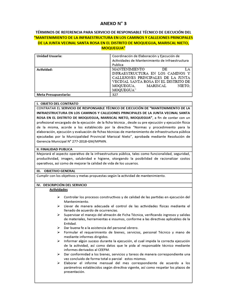 TDR de Responsable Tecnico | PDF