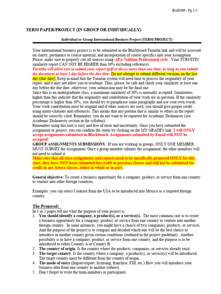 BADM360_International_Business_ProjectGuide (7) | PDF