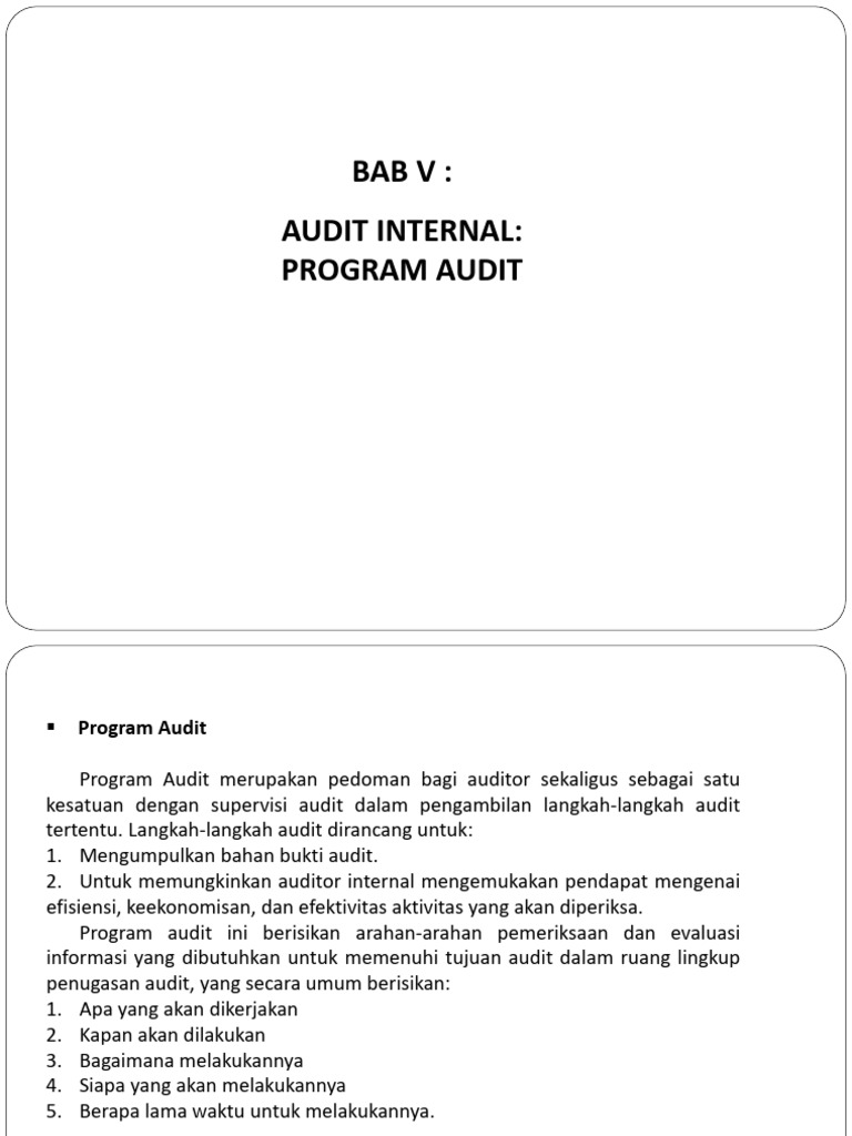 Program Internal AUdit | PDF