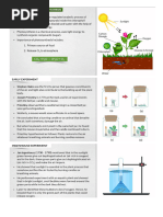 CH 11. Photosynthesis in Higher Plants - PPT | PDF | Photosynthesis ...