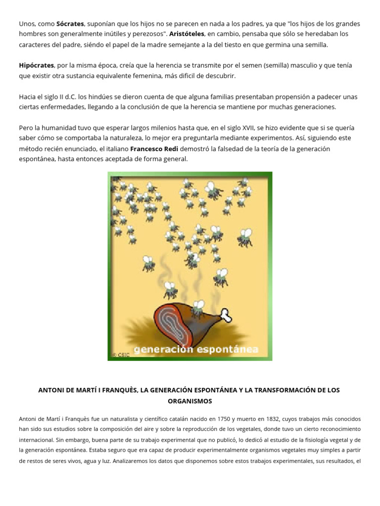 La Teoría de La Generación Espontánea 8 | PDF