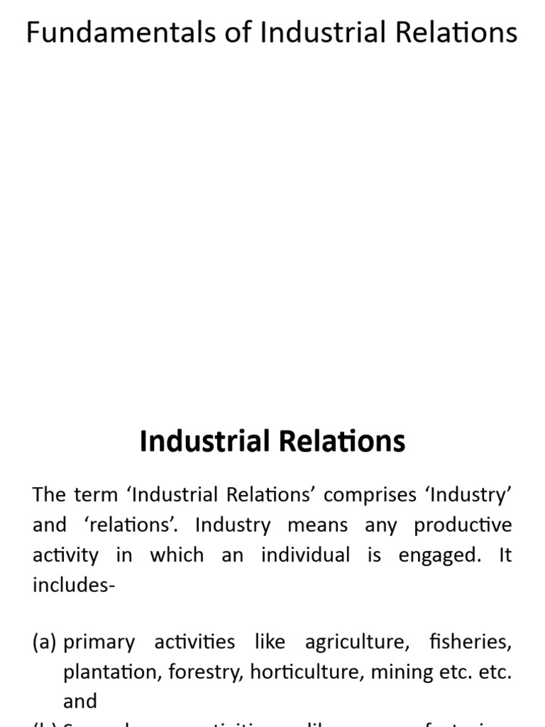 Fundamentals of Industrial Relations | PDF