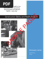 Sample Safety Plan | PDF
