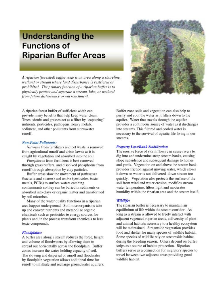 Riparian Buffers: Benefits & Impact | PDF | Science & Mathematics | Technology & Engineering