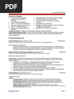 NozzlePRO: Advanced FEA Software for Nozzles | PDF | Finite Element ...
