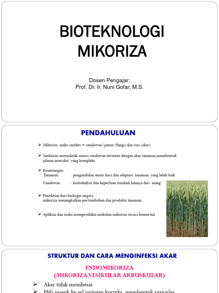 Mikoriza: Manfaat dan Aplikasi | PDF | Griya & Taman