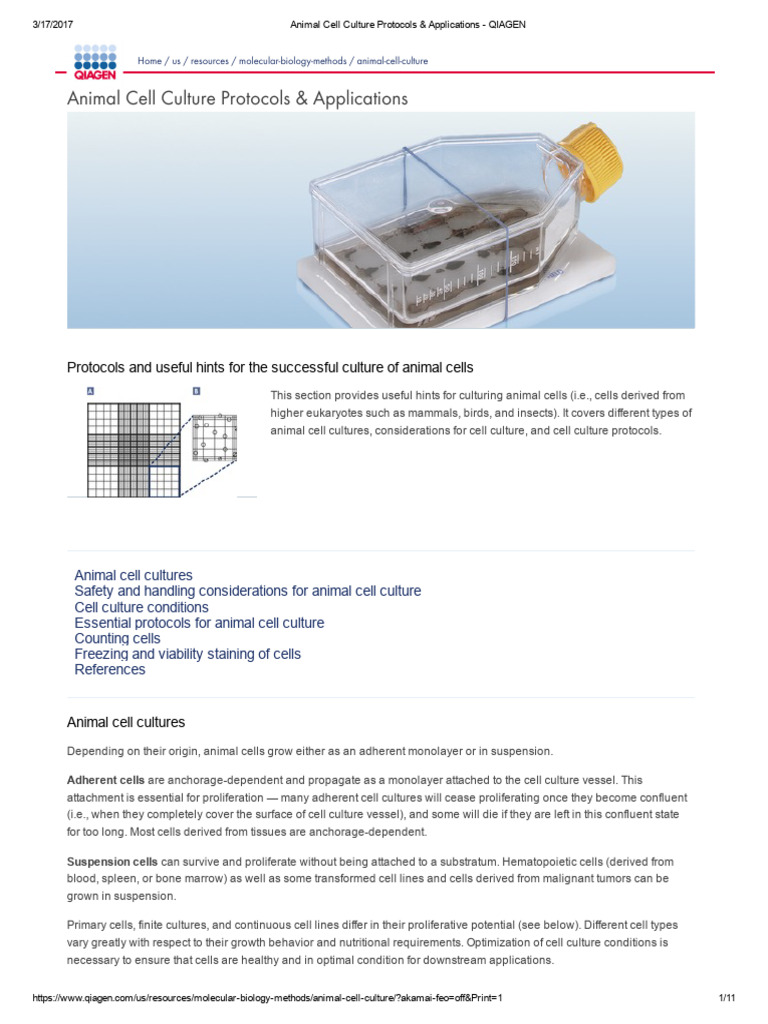 Animal Cell Culture Protocols Applications - QIAGEN | PDF