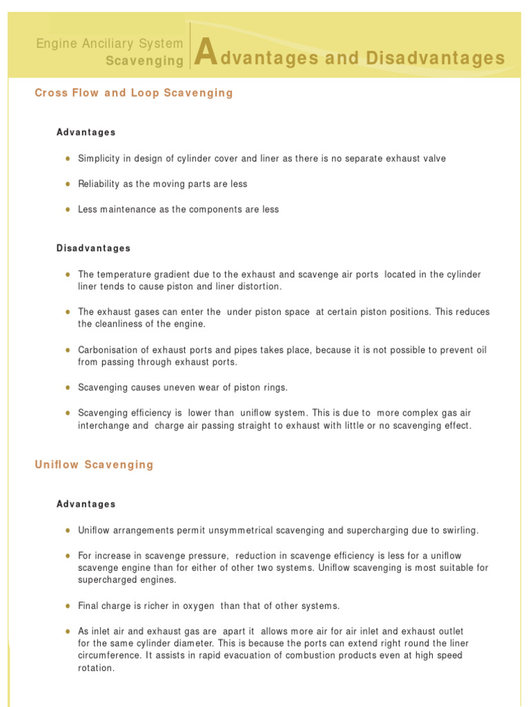 Advantages and Disadvantages | PDF