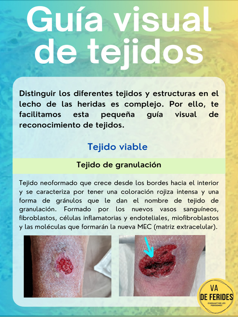 Guia Visual de Tejidos | PDF