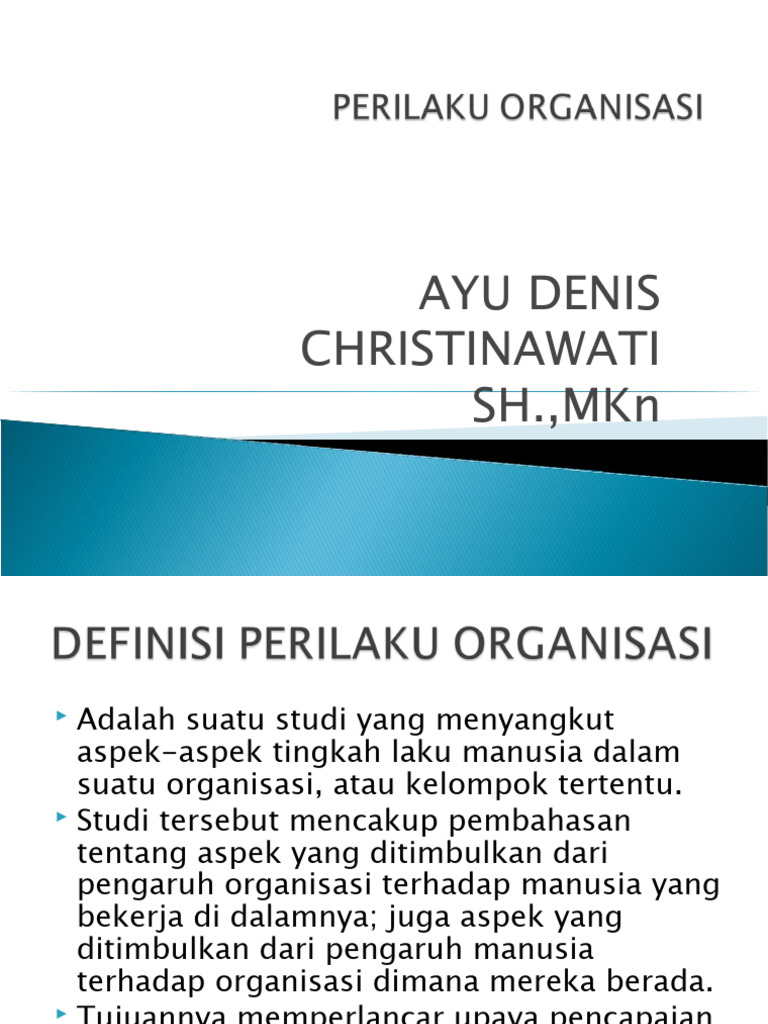 Perilaku Organisasi 1 Denis | PDF