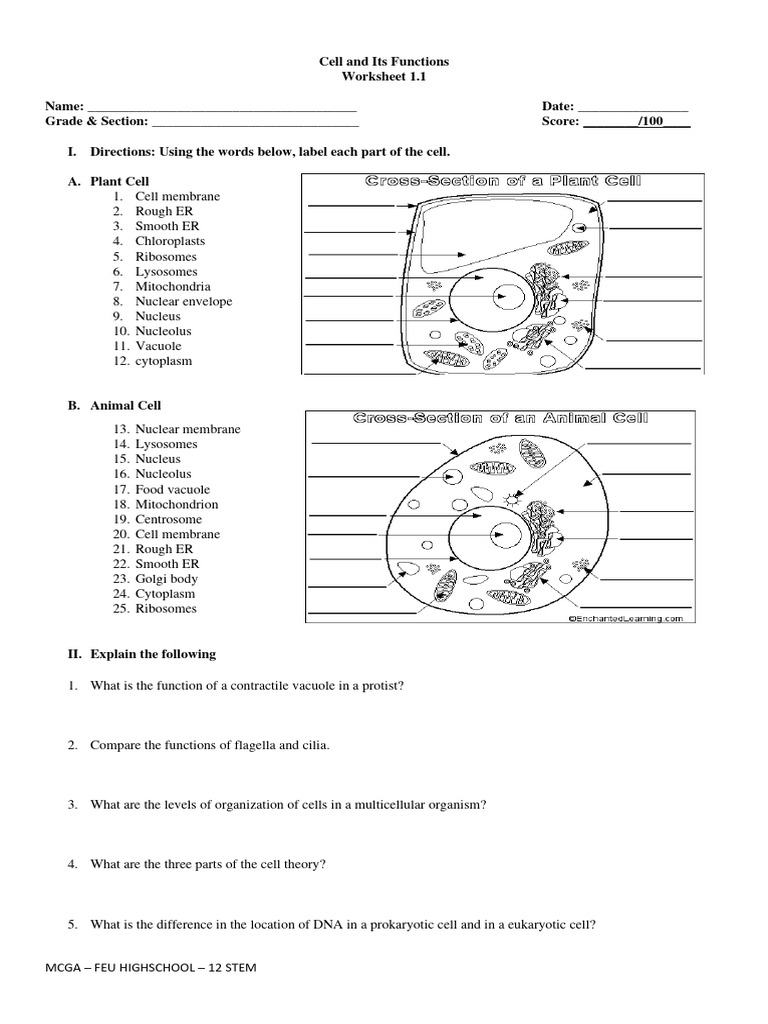Worksheet-1-Cell-and-Its-functions-REVIEWER | PDF