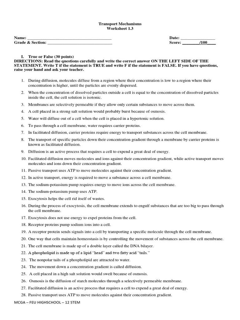 Worksheet 3 Transport Mechanisms REVIEWER | PDF