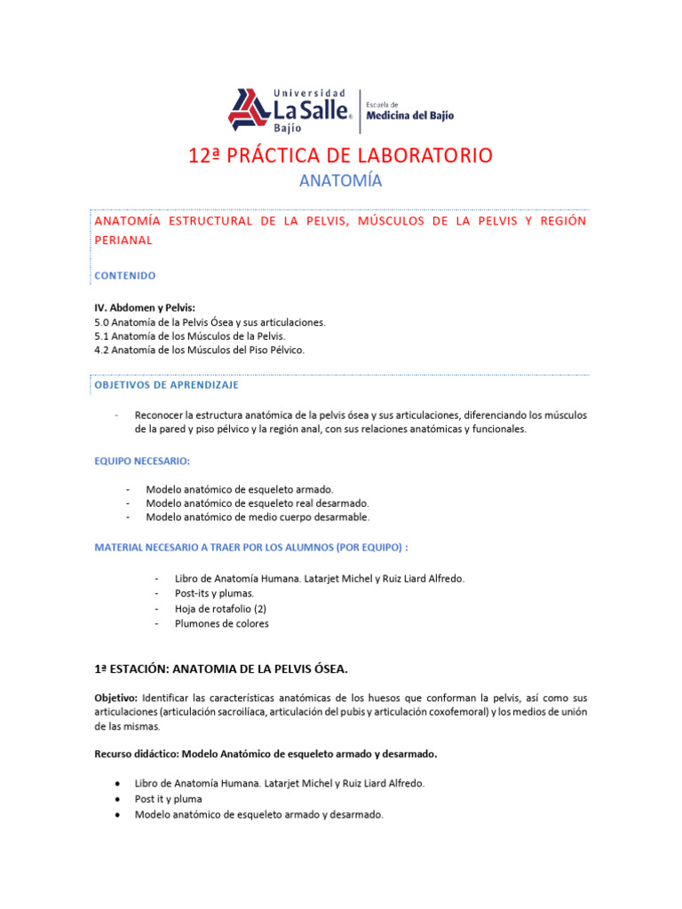 12a Práctica Lab Anatomia de La Pelvis y Músculos Pelvicos | PDF