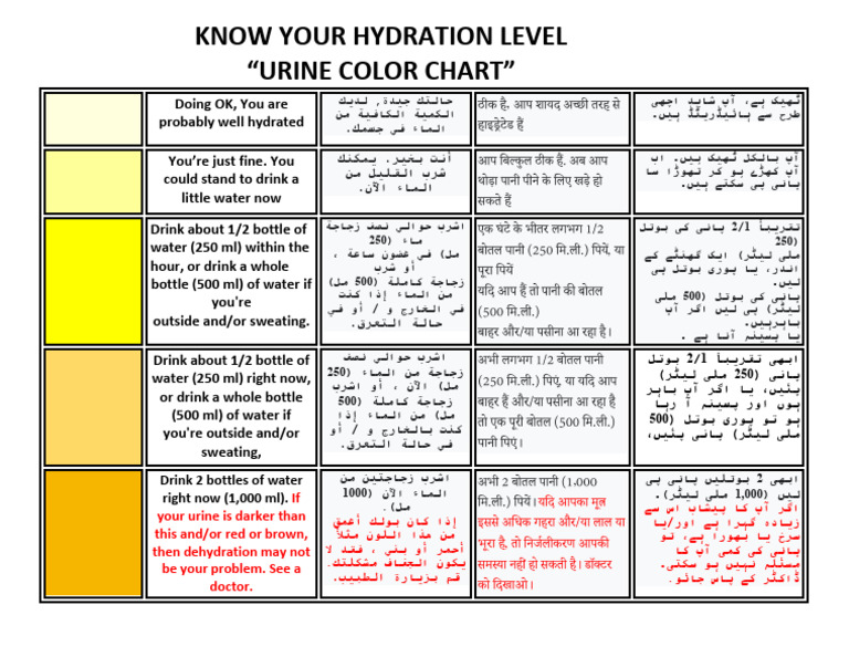 Urin Color Chart | PDF