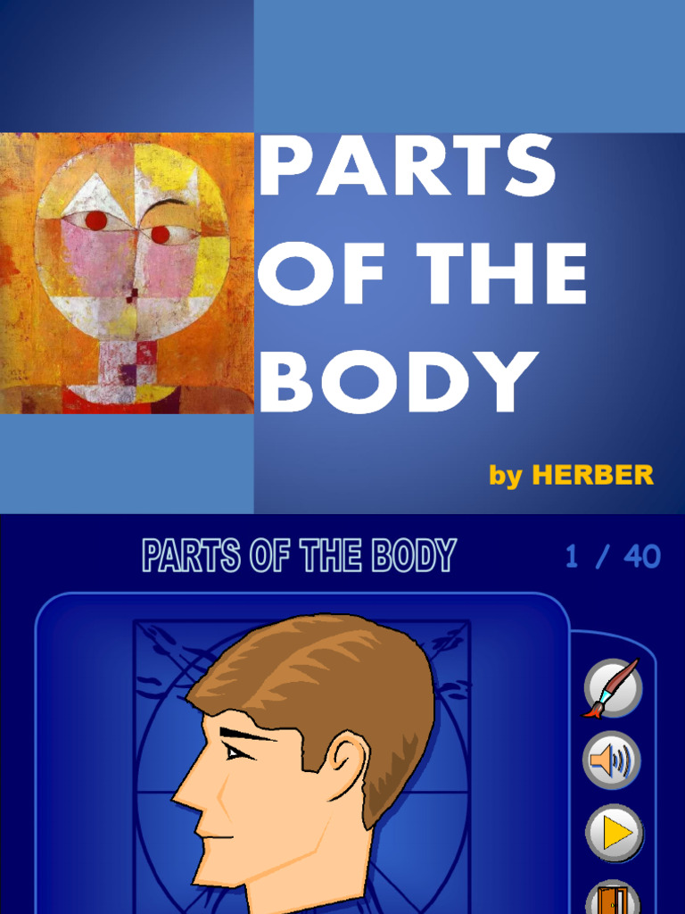 Body Parts PPT Flashcards Fun Activities Games Picture Dictionari ...