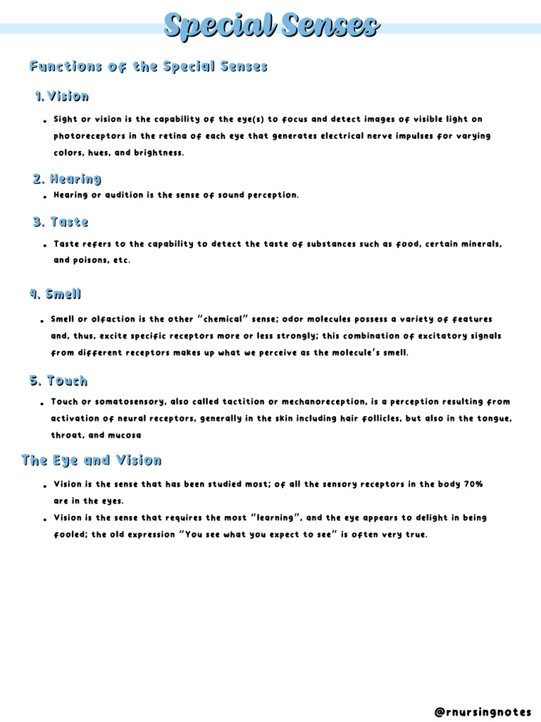 Special Senses | PDF | Ear | Visual System