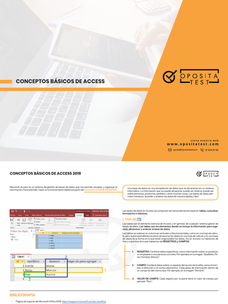 Conceptos Basicos de Access | PDF