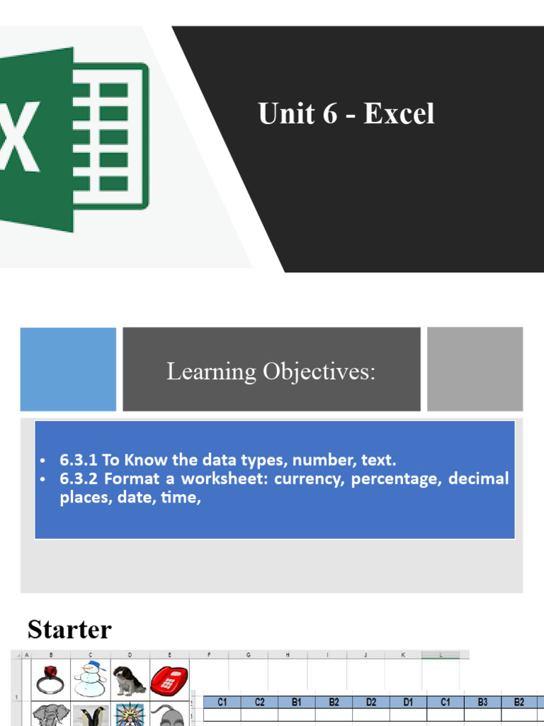 L1 - Excel | PDF