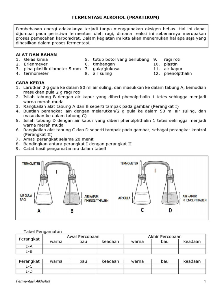 Lks Fermentasi Alkohol (Praktikum) | PDF