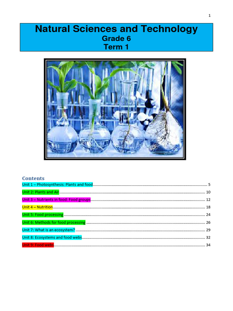 Grade 6 Natural Sciences & Tech Guide | PDF
