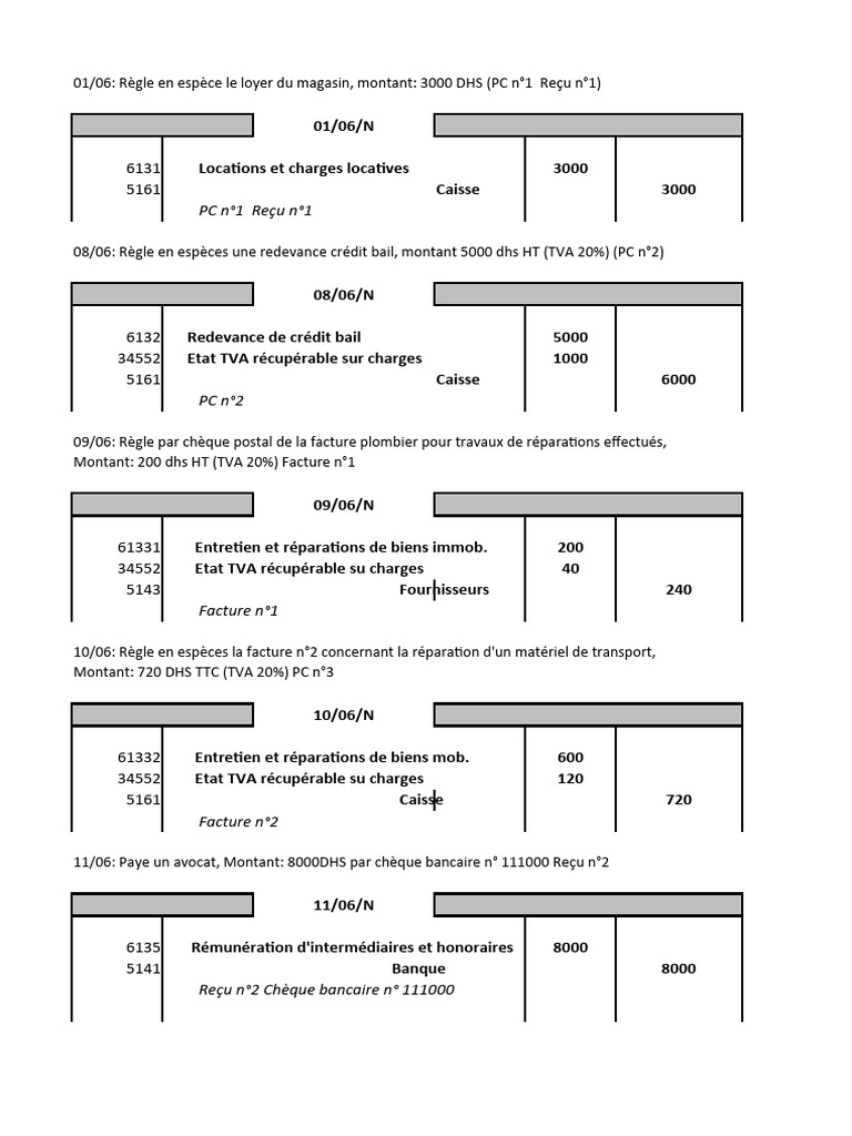 Enregistrement comptable des opérations | PDF