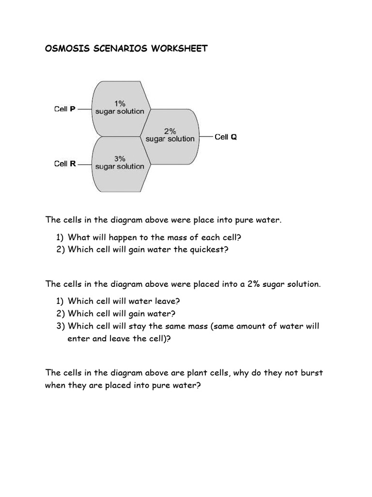 Osmosis Scenarios Worksheet | PDF