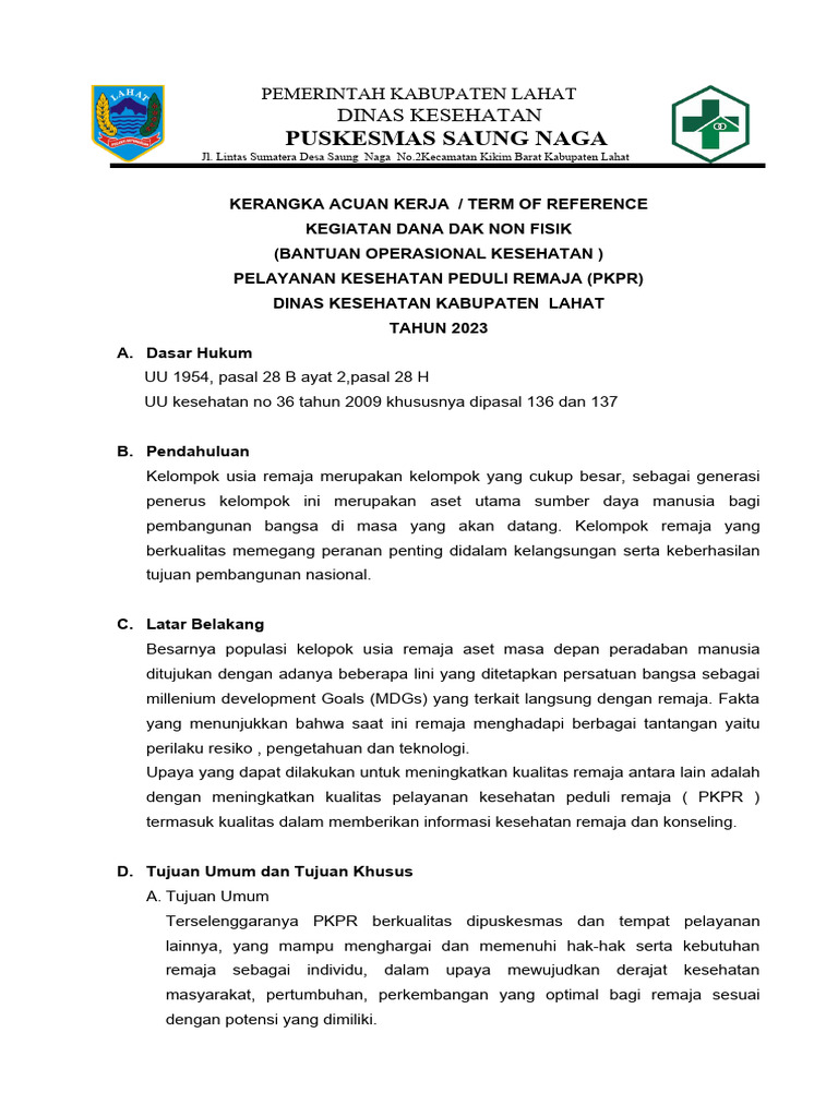 Pelayanan Kesehatan Remaja PKPR 2023 | PDF
