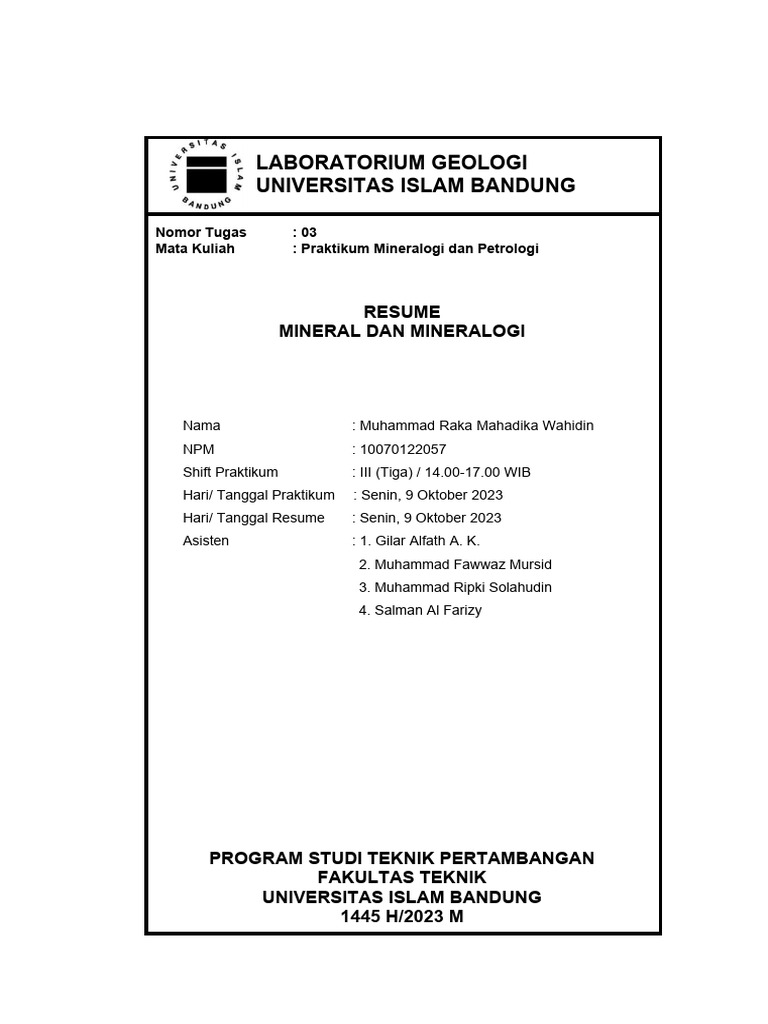 Resume 2 Petro | PDF