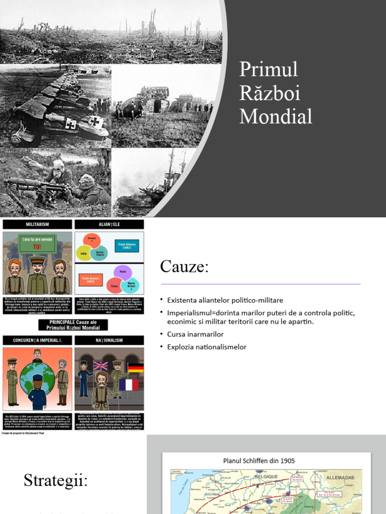 Prezentare Model | PDF