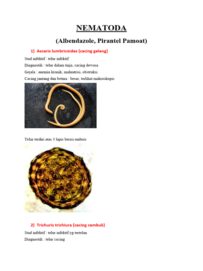 Cacing Cacingan | PDF