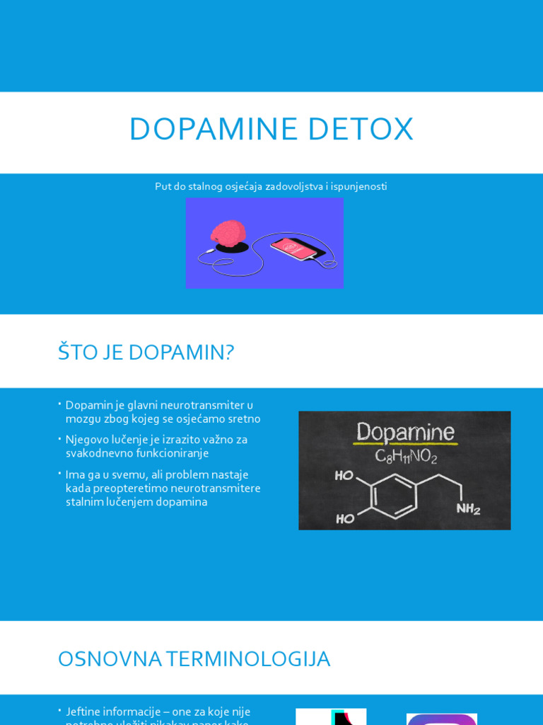 Dopamine Detox | PDF