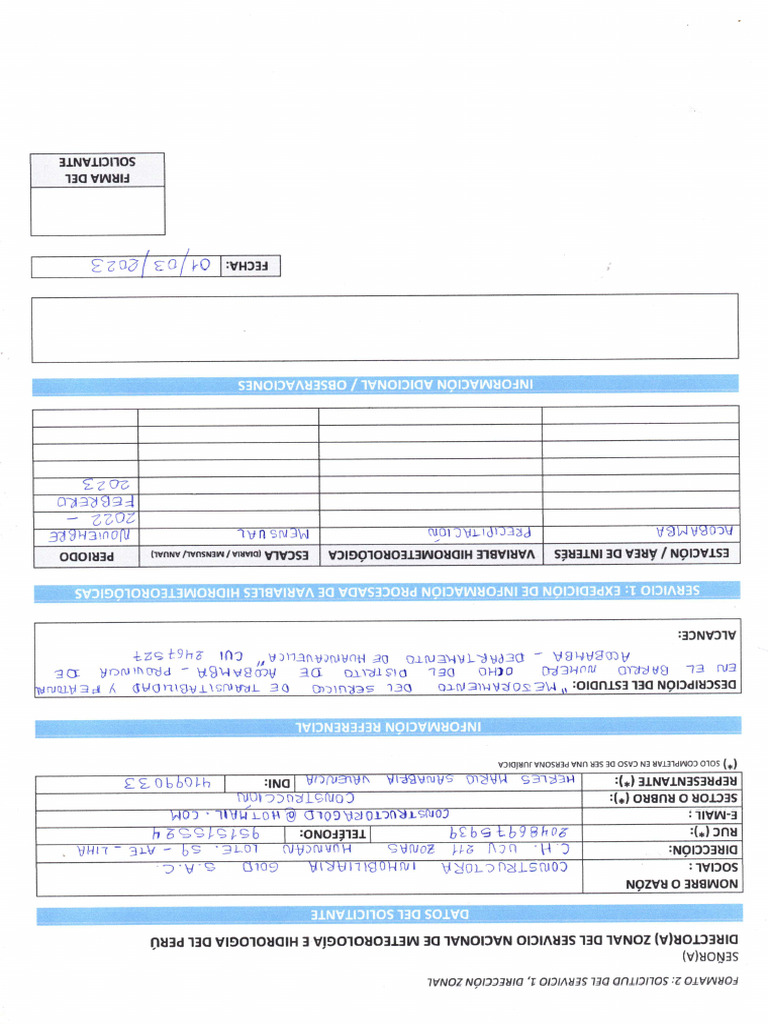 Formato N°02 Rellenado | PDF